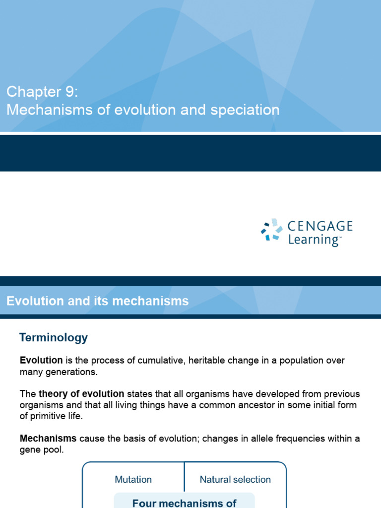 Mechanisms of Evolution and Speciation | Download Free PDF | Natural ...