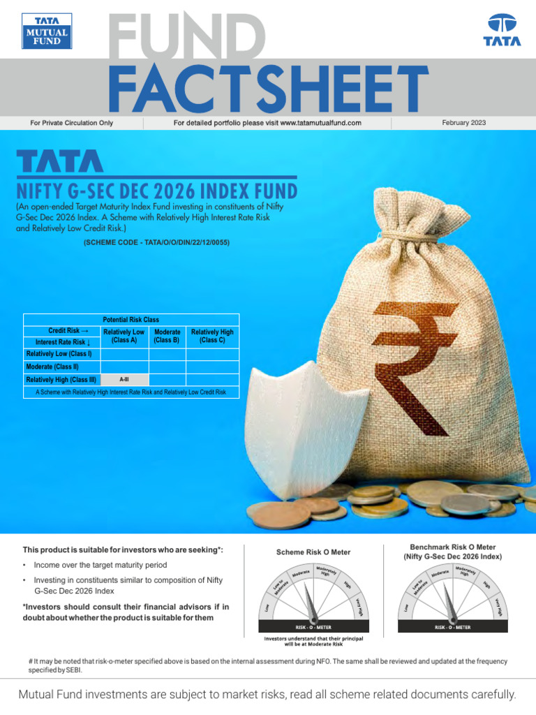 Tata MF Factsheet - February 2023 | PDF | Investing | Government Budget ...