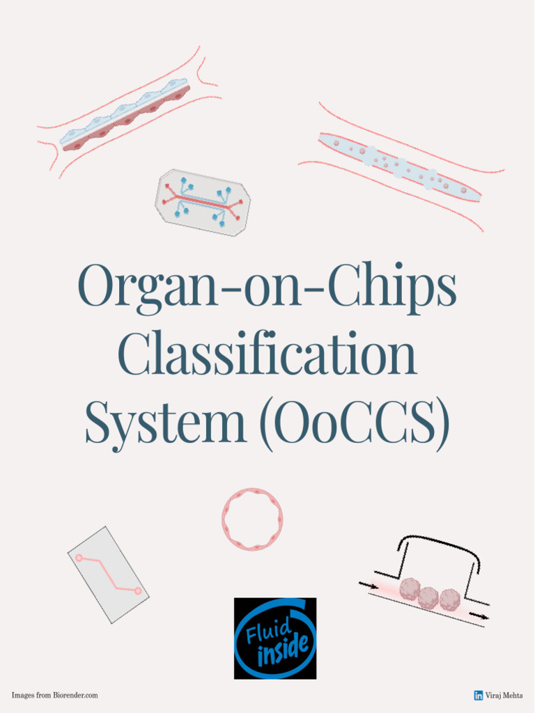 Organ on Chips Classification System OoCCS 1711289385 | PDF | Biology ...