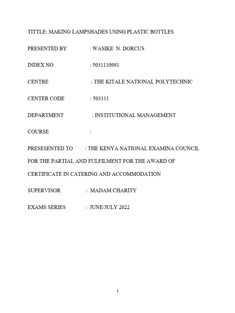 LAMPSHADE - PROJECT (1) Final | PDF | Social Science | Art