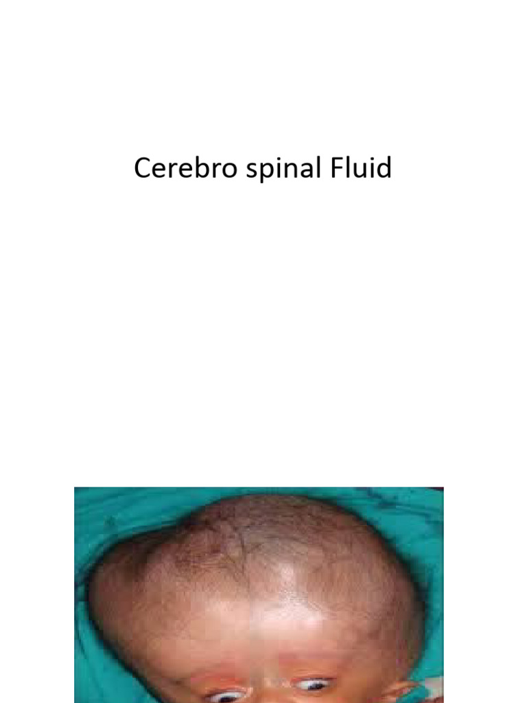 11 CSF | PDF | Cerebrospinal Fluid | Sleep