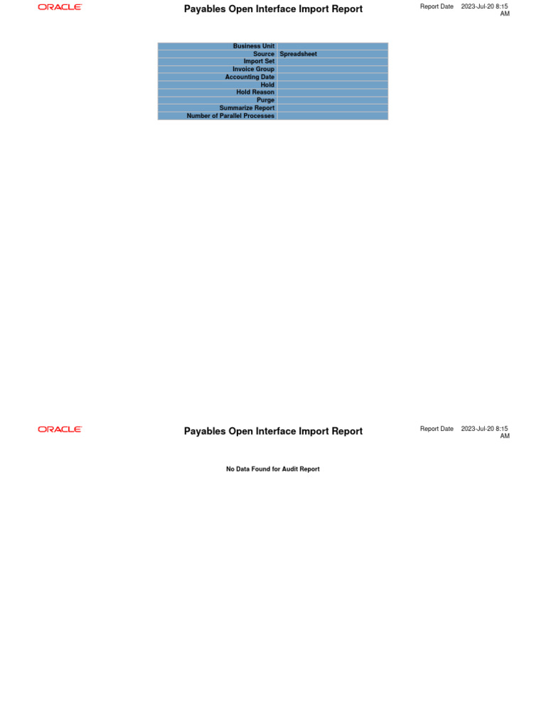 Payables Import Report Summary | PDF