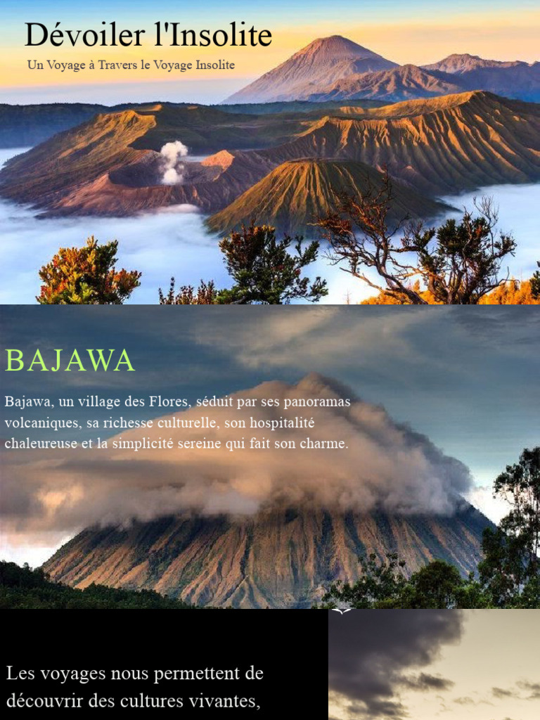 Dévoiler L'insolite | PDF | Études des langues étrangères