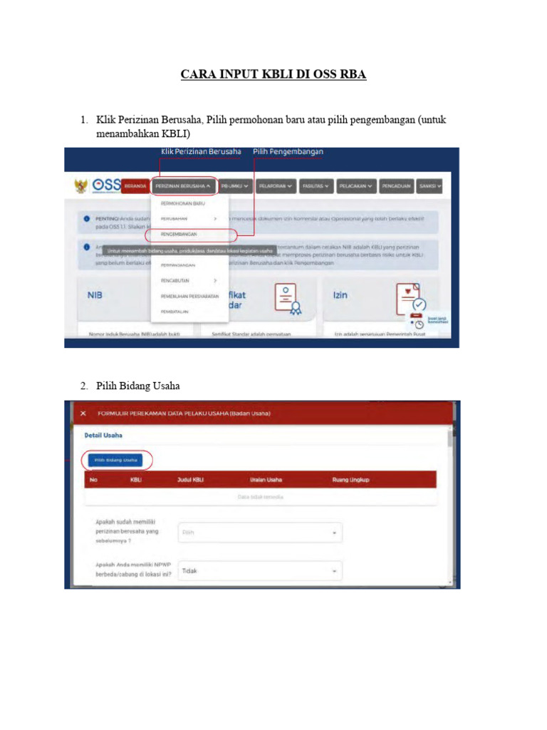 Cara Input KBLI & Peta Polygon - Tugas 2 | PDF