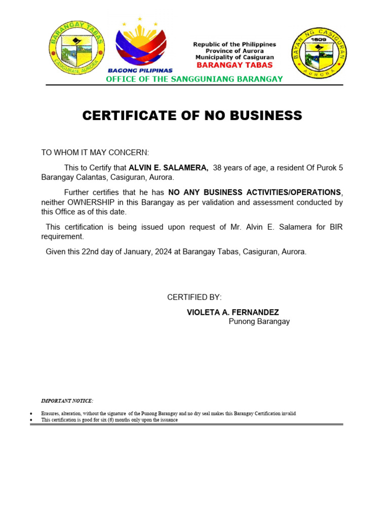 Cert of No Business | PDF