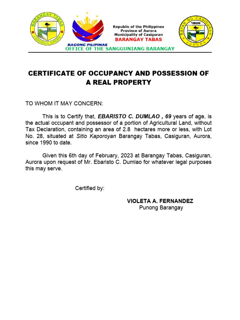 Certificate of Occupancy for Ebaristo Dumlao | PDF