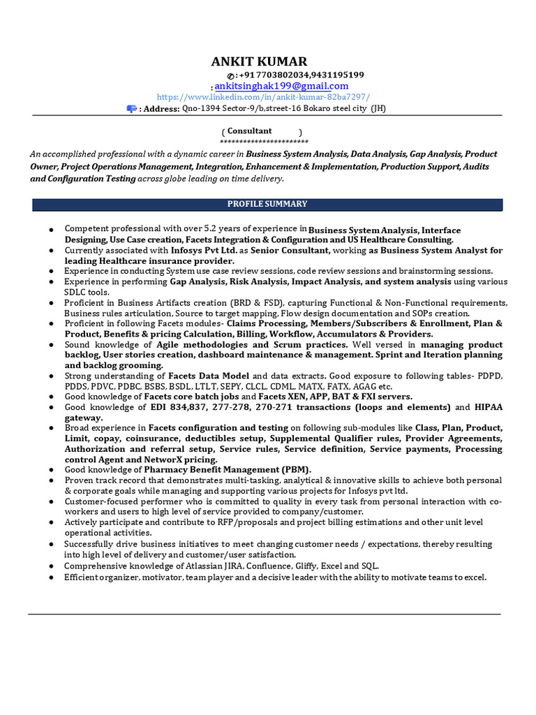 Ankit (Consultant) Resume Compressed | Download Free PDF | Risk | Risk ...