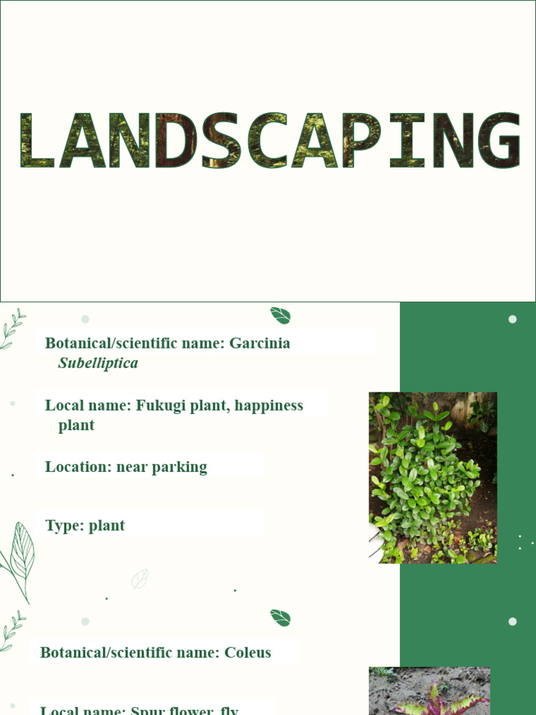 Landscaping | PDF | Trees | Plants