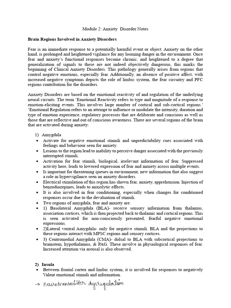 Anxiety Notes - Neuroanatomy Class - 230504 - 230124 | PDF | Amygdala ...