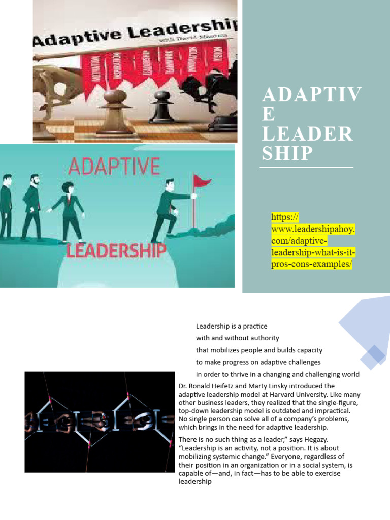 Adaptive Leadership New | PDF | Leadership | Adaptation