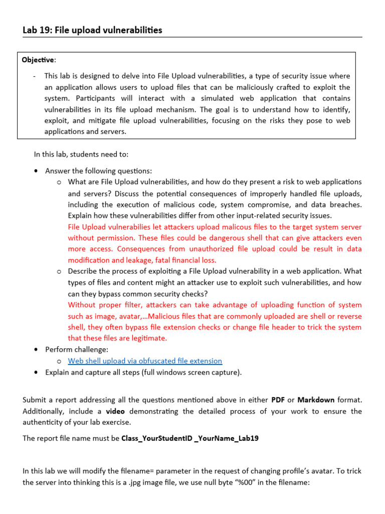 Lab19 File upload vulnerabilities | PDF | Computer File | World Wide Web