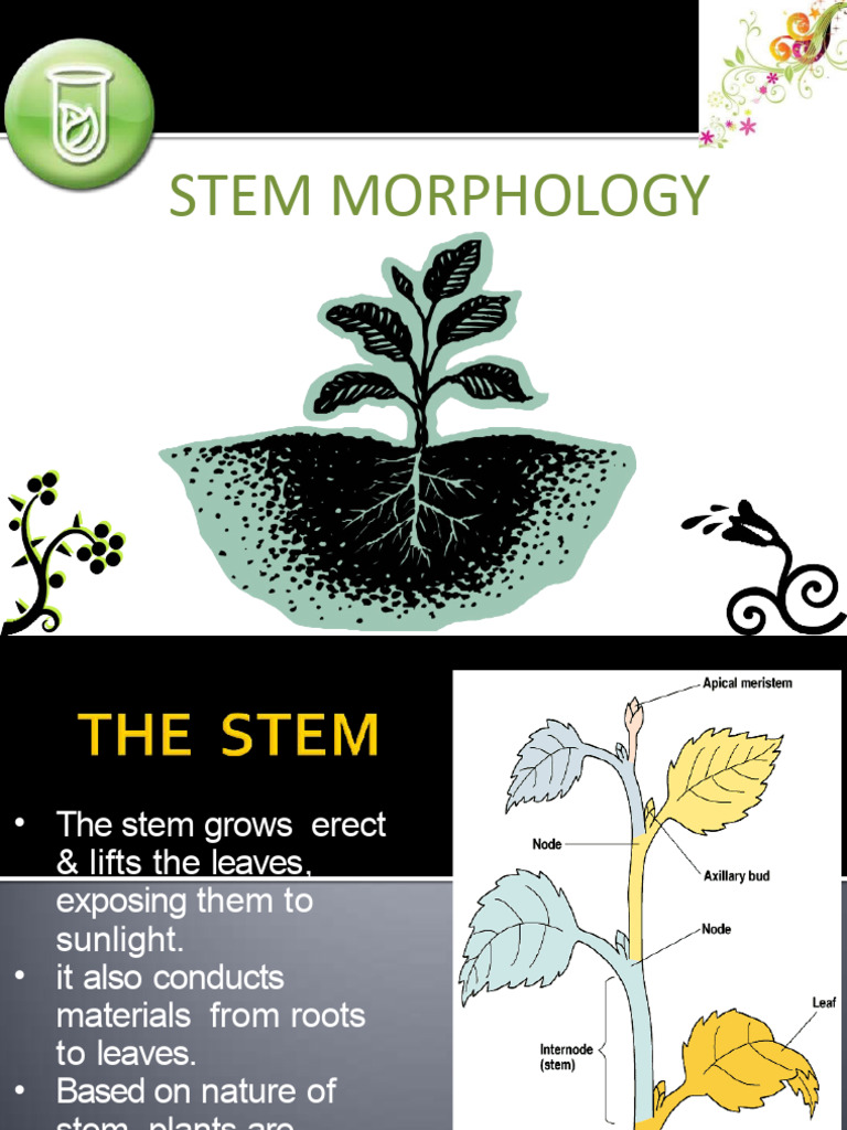 Chapter 5 Part 1 | PDF | Home & Garden Chapter 5 Part 1 | PDF | Home & Garden