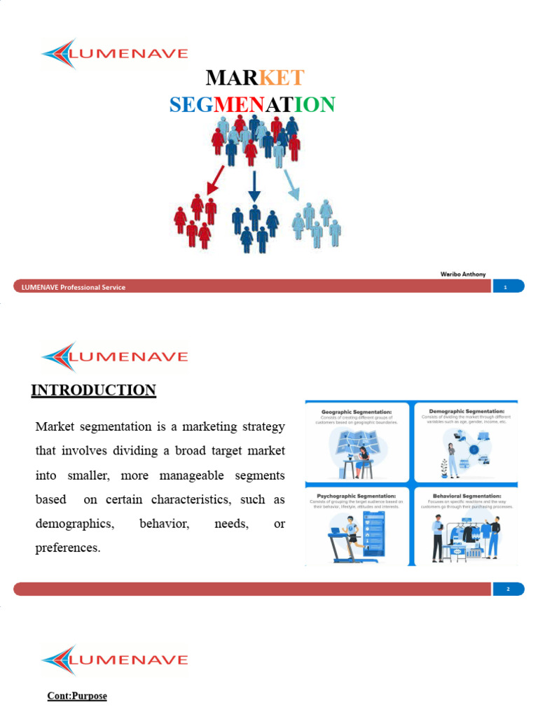 Market Segmentation | PDF | Market Segmentation | Marketing