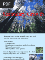 IGCSE Biology Topic 8 Transport in Plants Presentation | PDF | Leaf ...