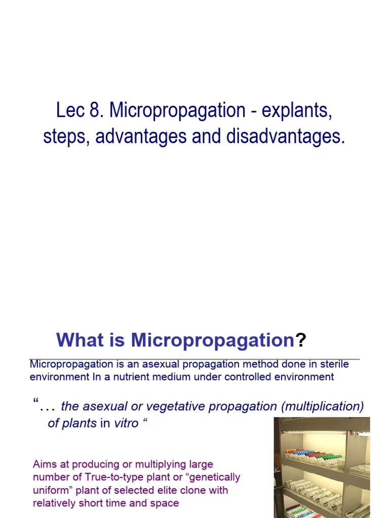 Lec 8. Micropropogation | PDF | Agriculture | Reproduction