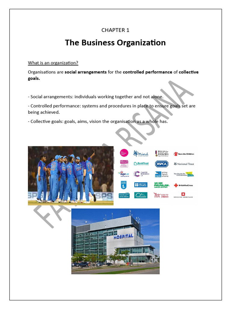 F1 CH 1 Business Organisation PDF | PDF | Cooperative | Business