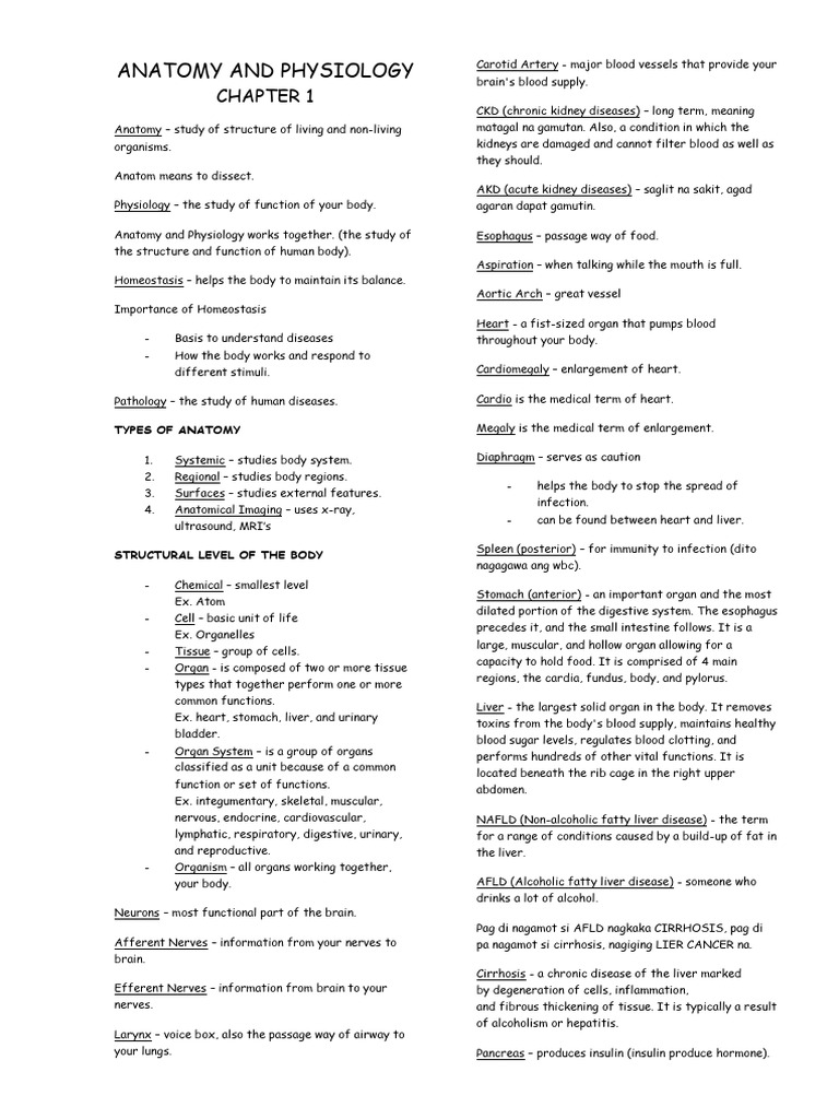Anatomy and Physiology Chapter 1 | PDF | Human Body | Peritoneum