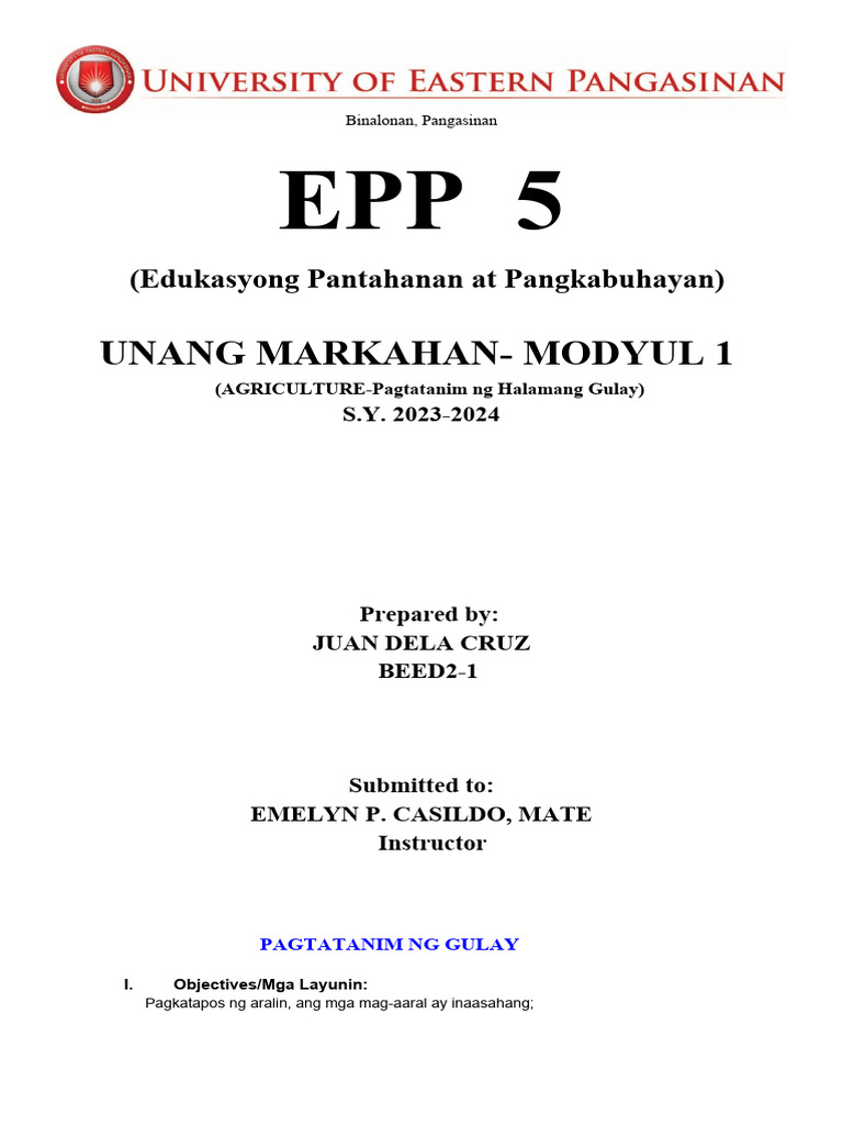 Epp5 - Sample Instructional Module | PDF