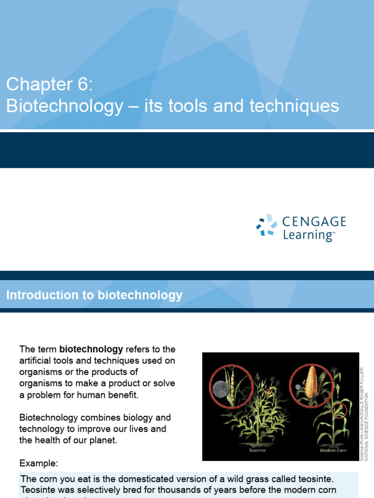 Biotechnology – its tools and techniques | PDF | Agarose Gel ...