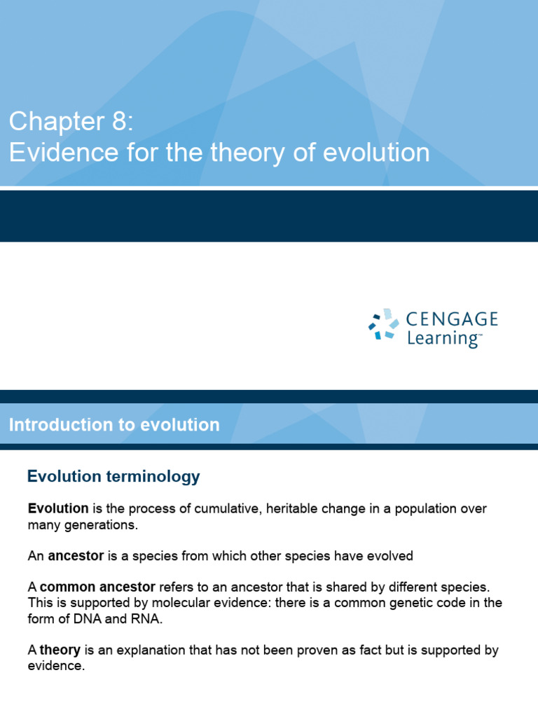 Evidence for the theory of evolution | PDF | Evolution | Bioinformatics