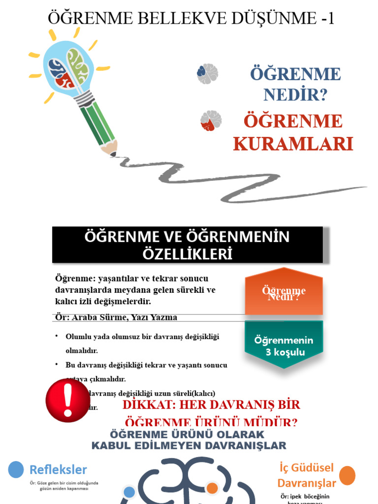 Ogrenme Bellek Dusunme | PDF
