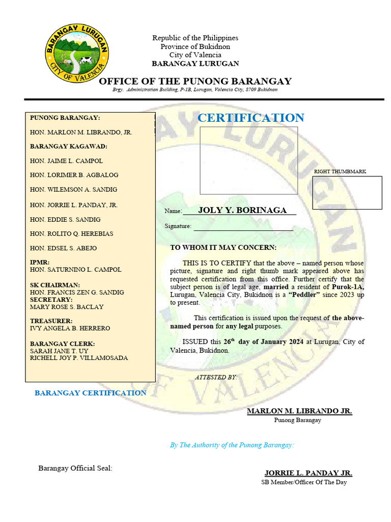 Income Certification | PDF