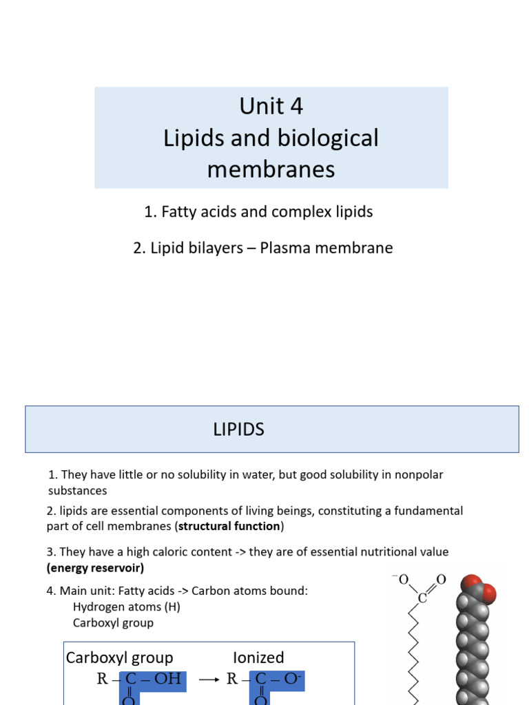 05 - Intro UNIT 4 | PDF | Cell Membrane | Lipid