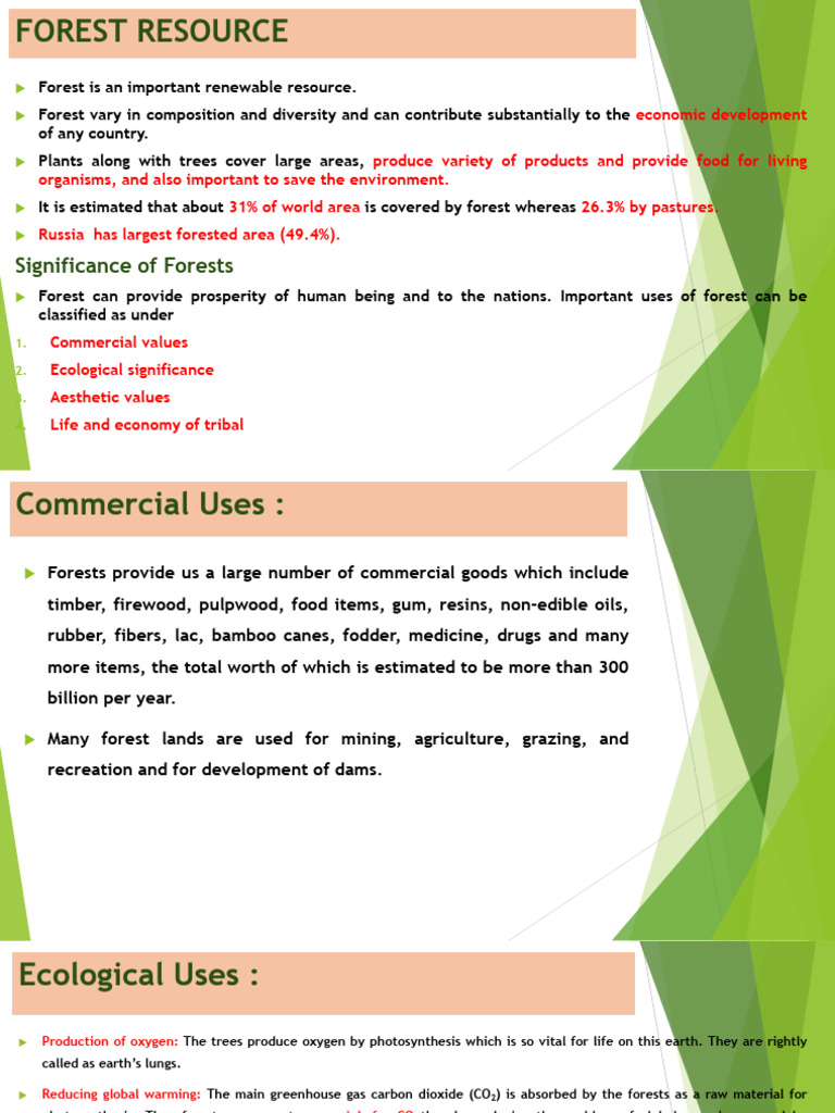 Forest Resource | PDF | Deforestation | Soil