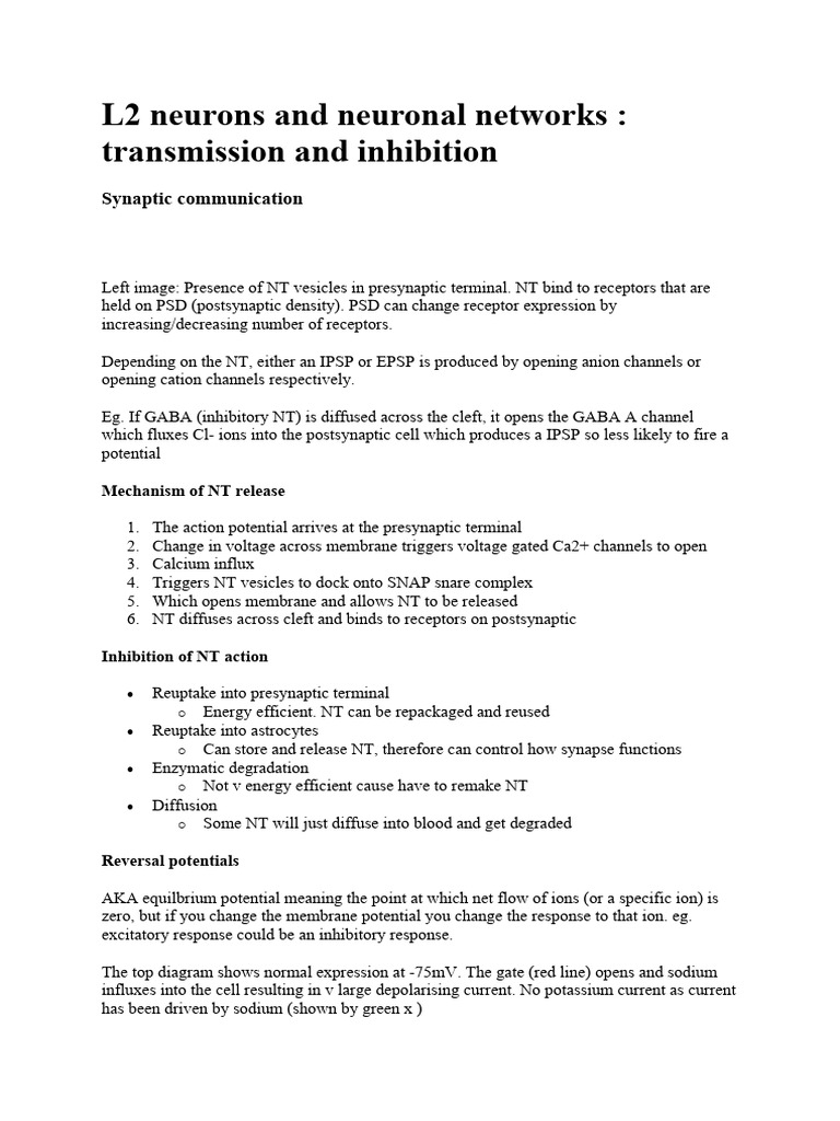 L2 Neurons and Neuronal Networks | PDF | Chemical Synapse | Inhibitory ...