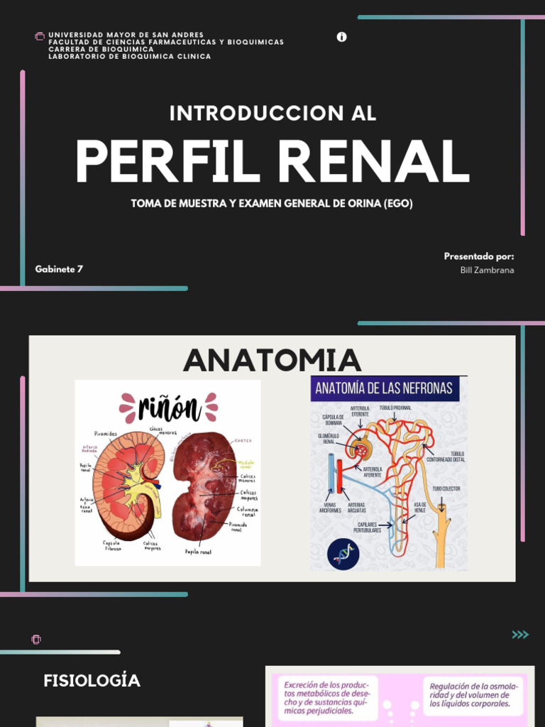 Perfil renal | PDF | Orina | Riñón