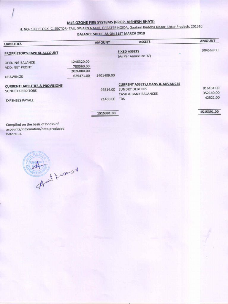 BALANCE SHEET 2019 | PDF