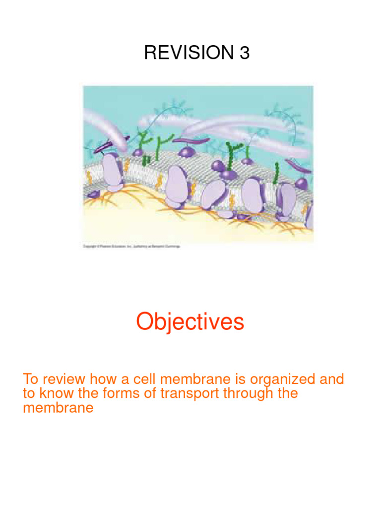 Revision 3 | PDF | Cell Membrane | Osmosis