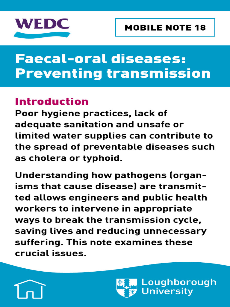 Preventing Faecal-Oral Disease Transmission | PDF | Infection ...