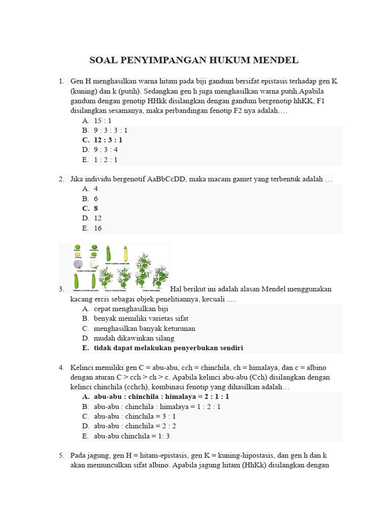 Soal Penyimpangan Semu Hukum Mendel Kel 1 | PDF | Sains & Matematika