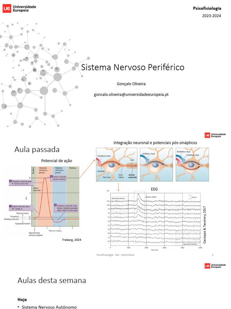 Psicofisio - Aula 3a - SNP | PDF | Sistema nervoso | Nervo