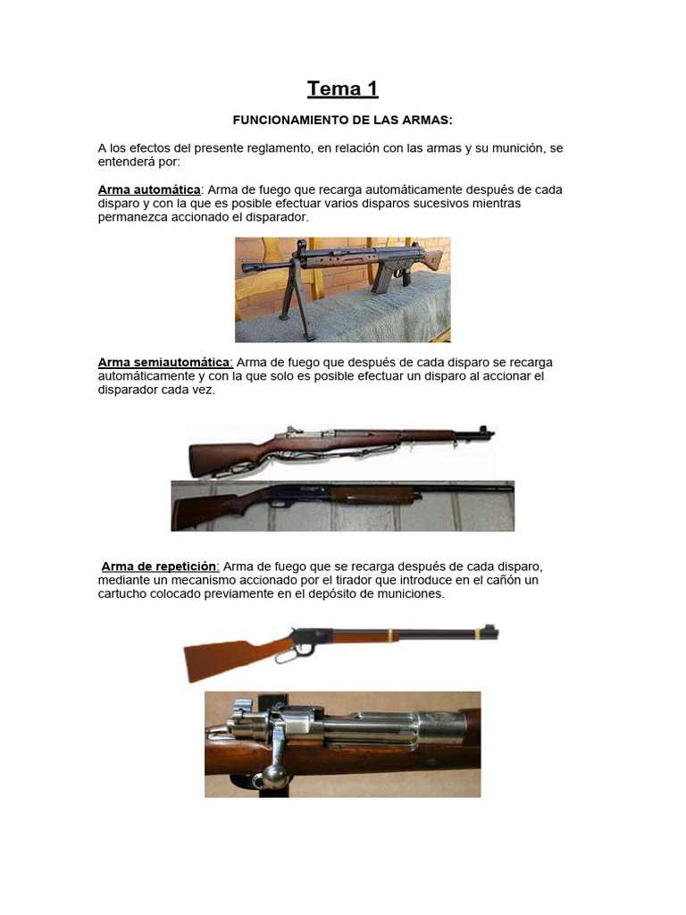 Tema 1 | PDF | Armas de fuego | Cartucho (armas de fuego)