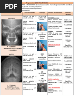 Signo de Mickey Mouse | PDF | Vena | Ultrasonido médico