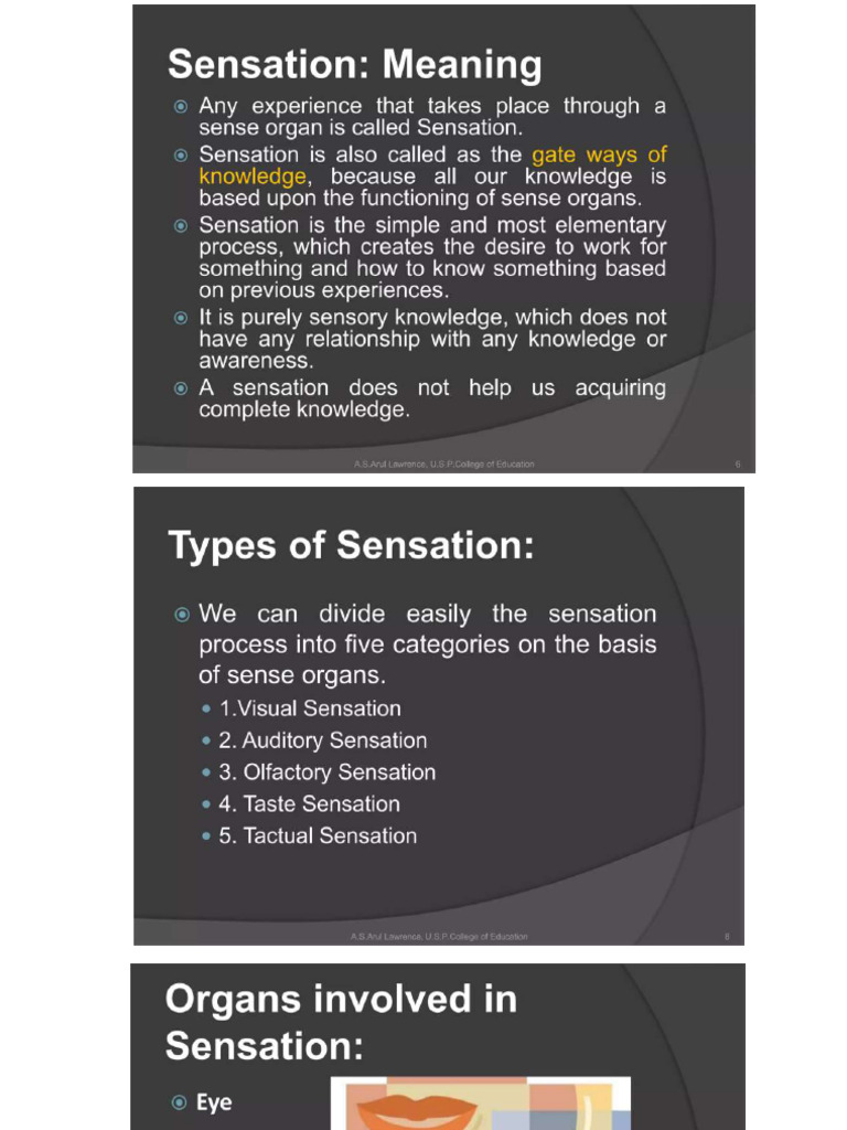 Sensation | PDF