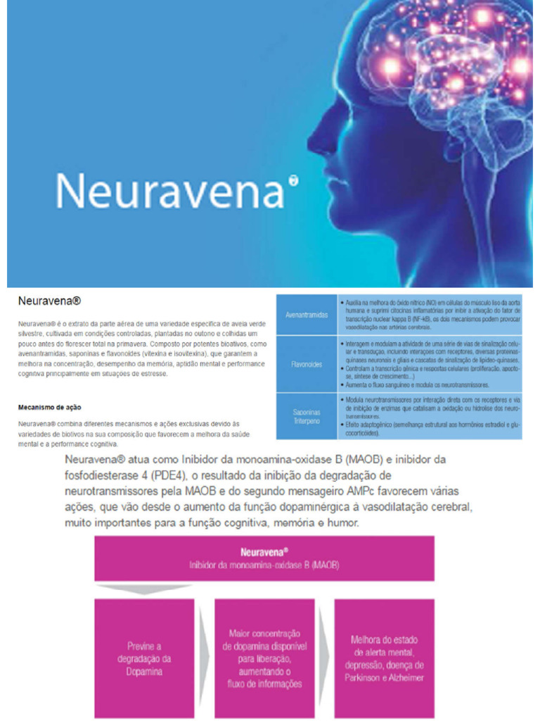 Neuro | PDF