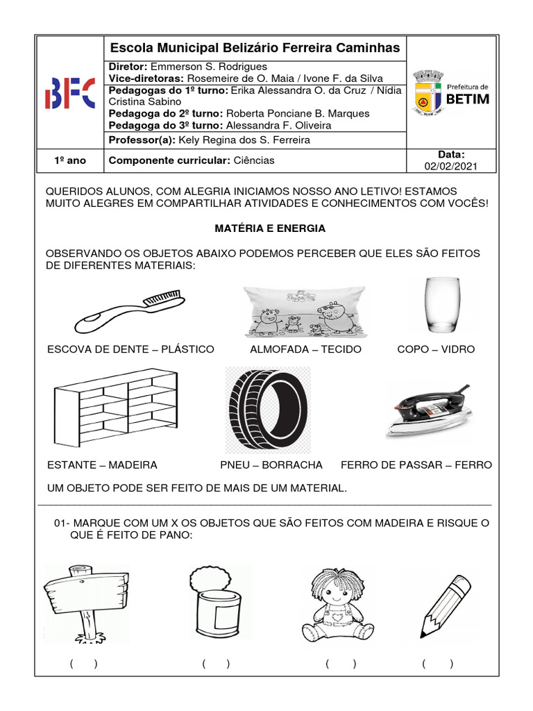 Atividade de Ciã Ncias - 1âº Ano - 1â Semana (02-02 A 06-02-21) | PDF | Materiais