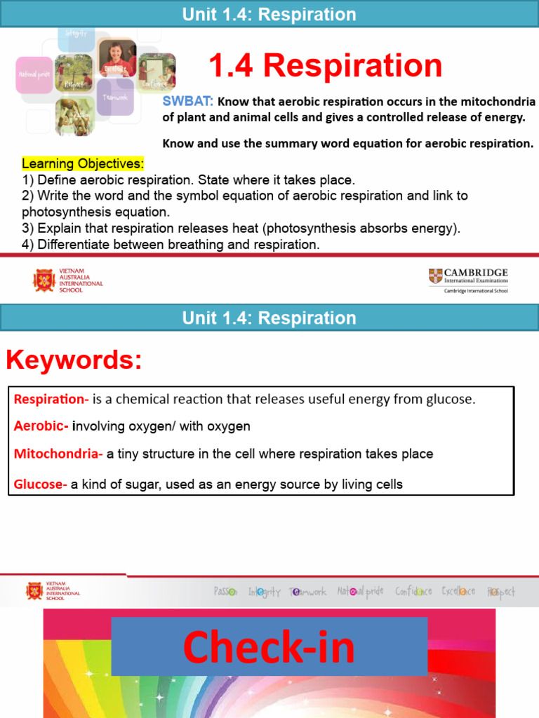 Unit 1.4 Respiration-SAAM | PDF | Cellular Respiration | Oxygen
