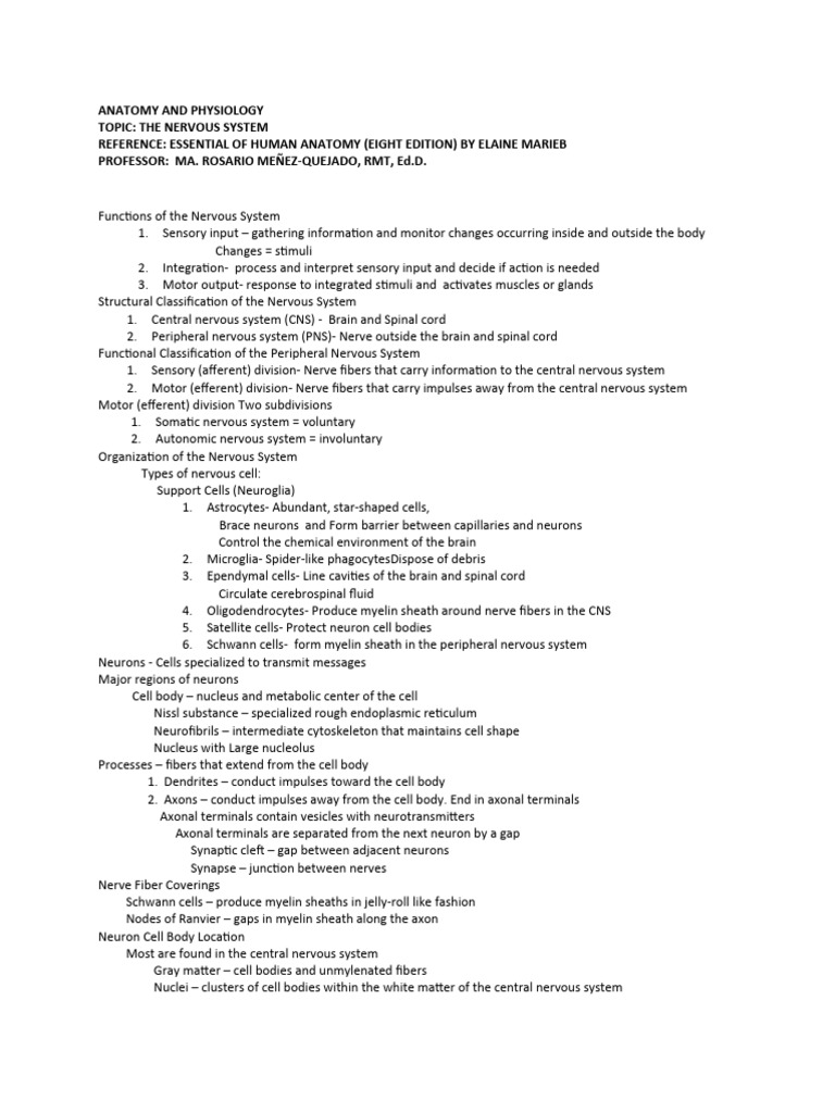 Module 12 Handouts Nervous System | PDF | Neuron | Action Potential