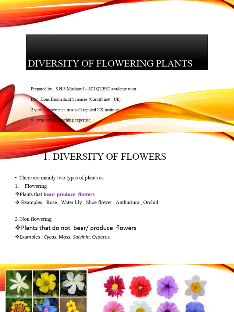 Diversity of Flowering vs Non-Flowering Plants | PDF