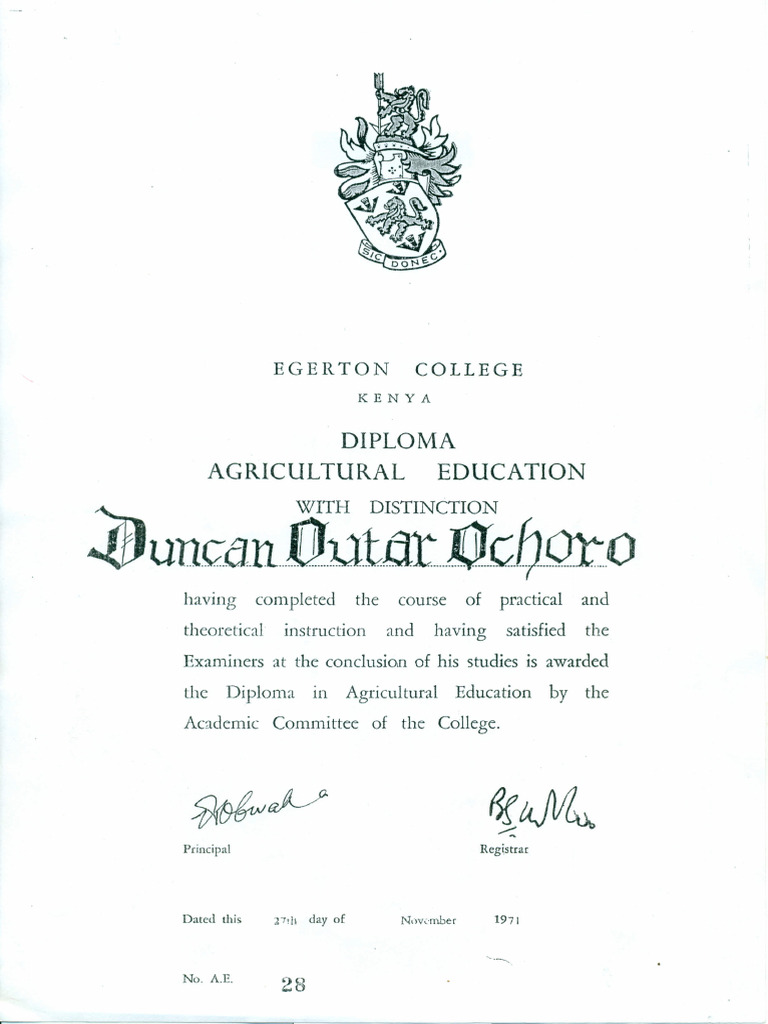 Diploma Certificate | PDF