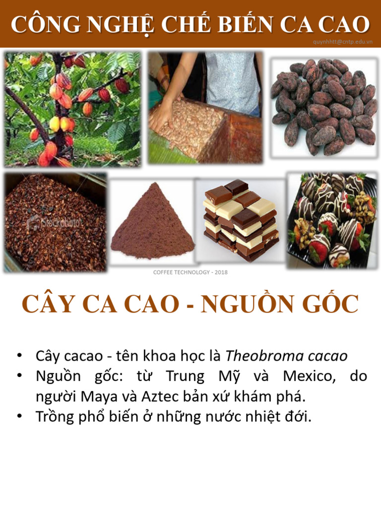 CNCB Ca Cao 1 | PDF