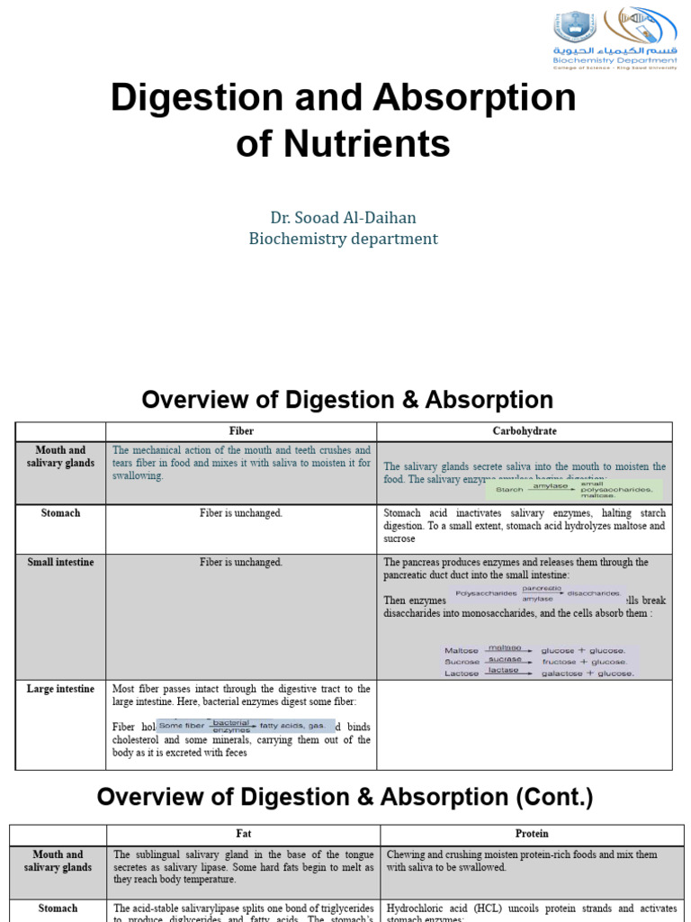 Digestion and Absorption | PDF | Digestion | Lipoprotein