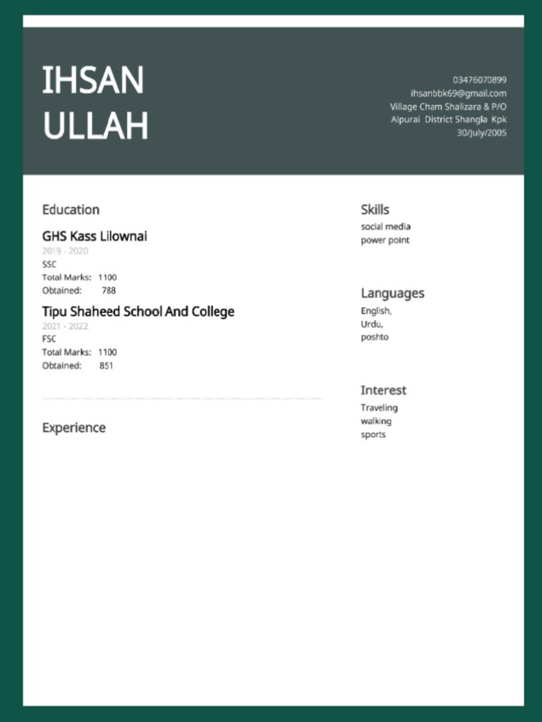 Ihsan CV | PDF