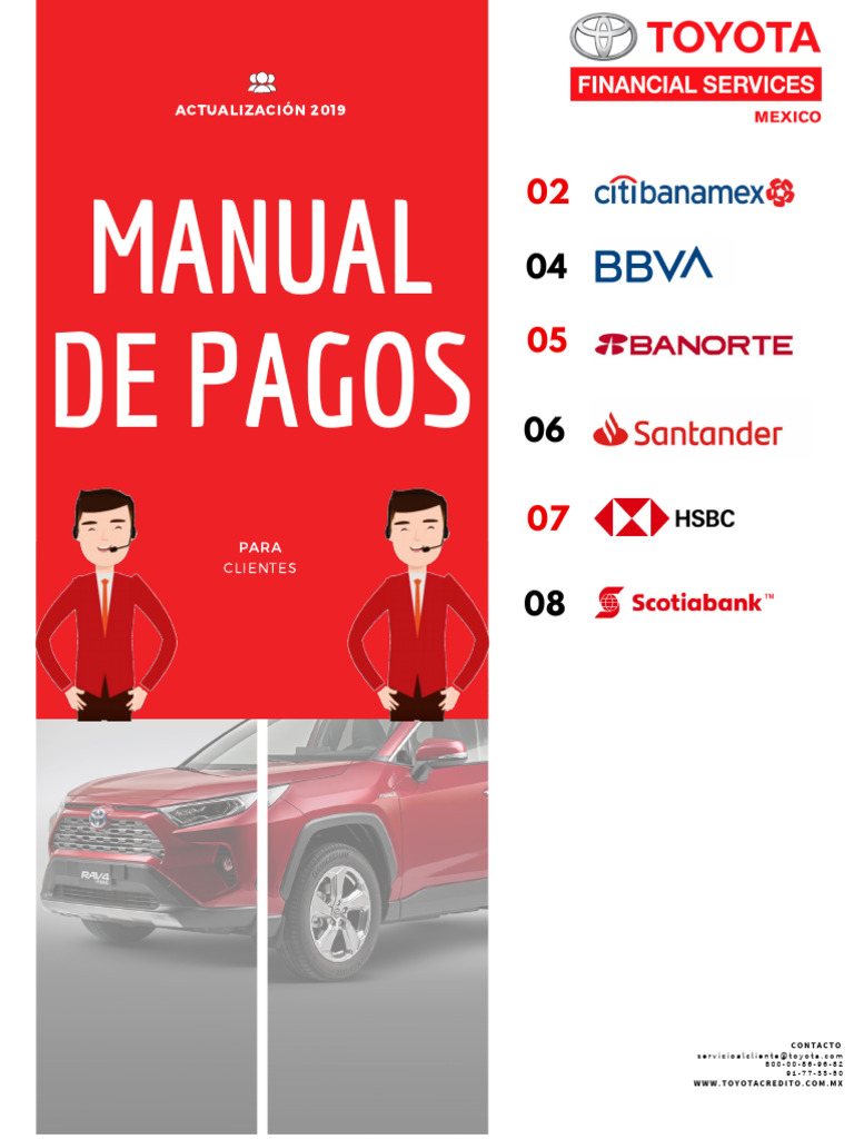 Manual de Pagos TFS | PDF