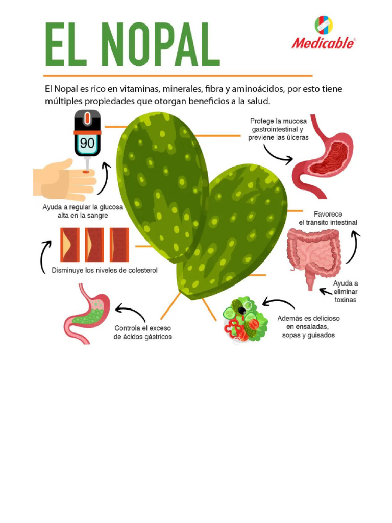 NOPAL | PDF