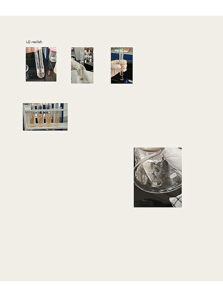 Foto Hasil Prak Karbo Dan Hidro | PDF